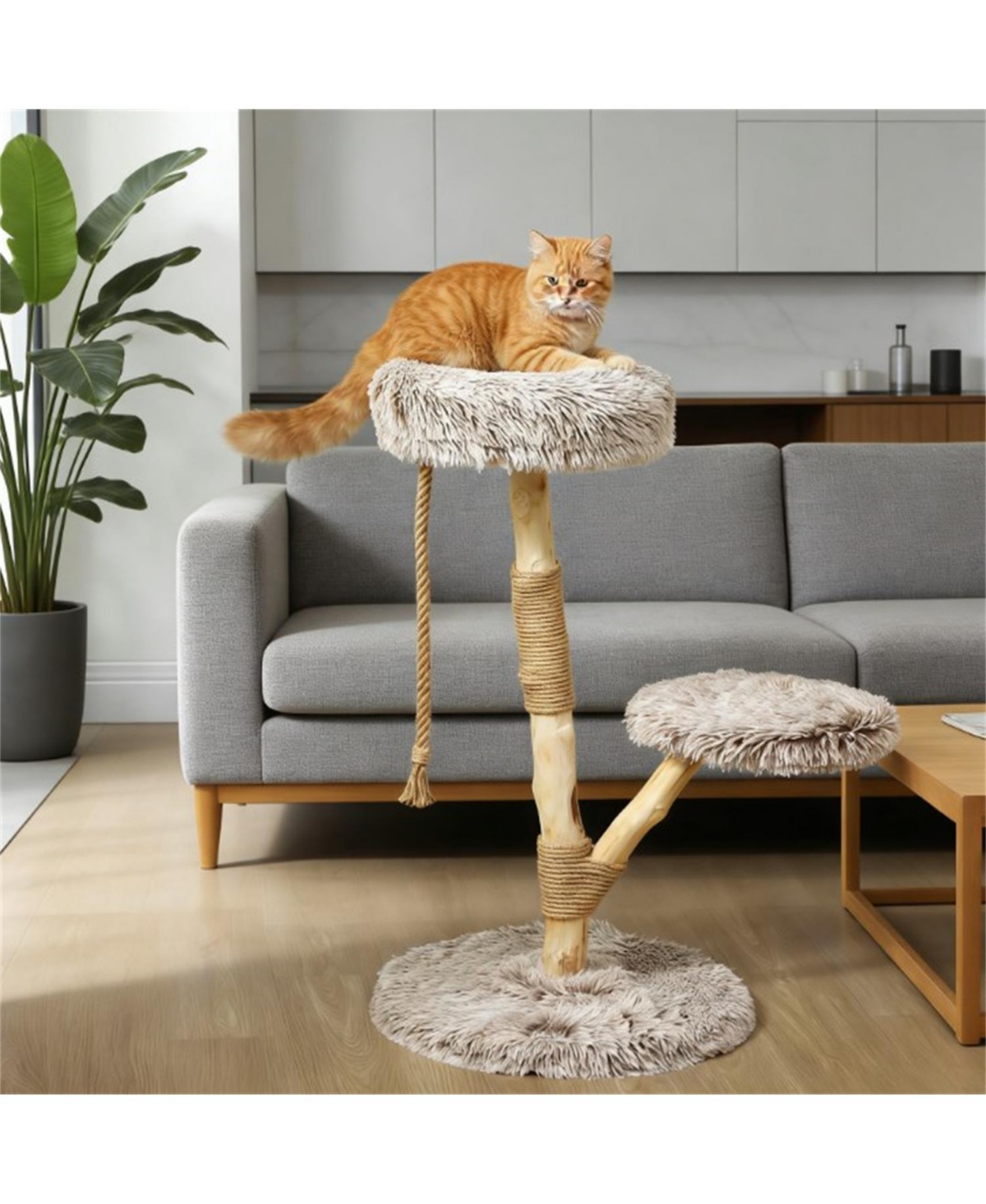 Click here for Aostirmotor 35.4 Cat Tree with Wooden Scratching P... prices