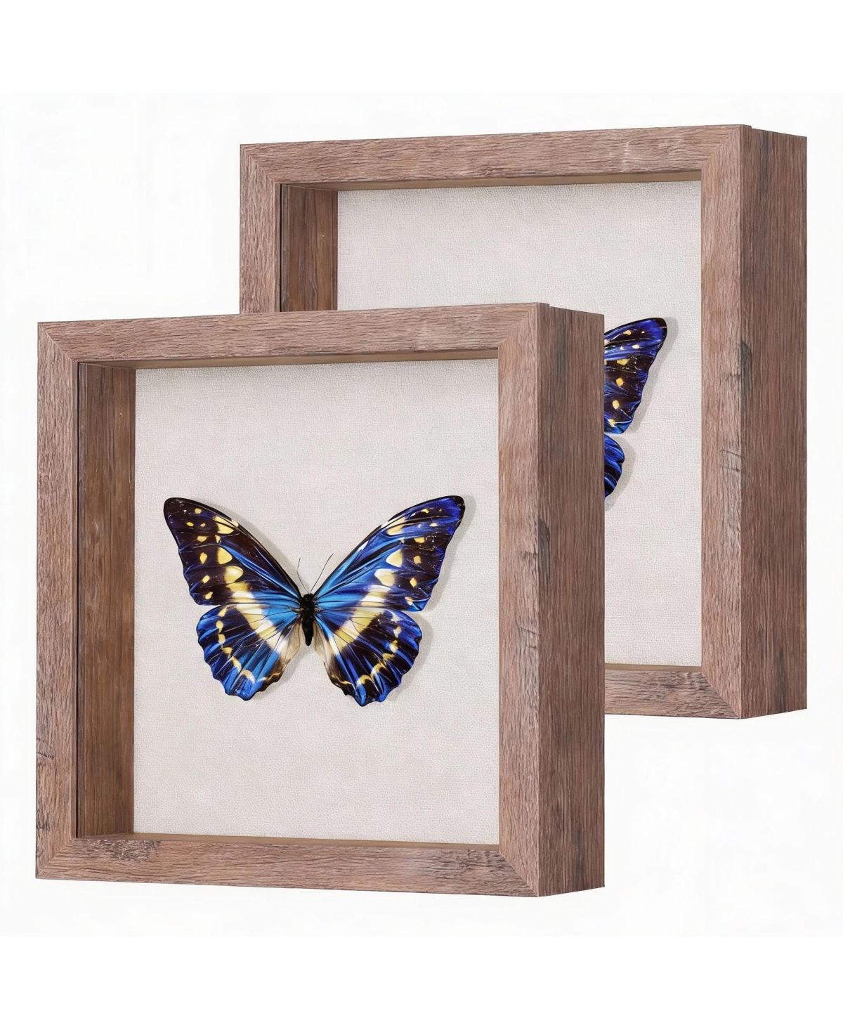 Click here for Yigii Shadow Box Frame: Magnetic Door  Linen Back... prices