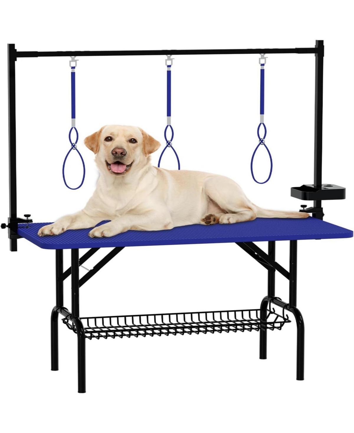 Click here for Aostirmotor 47" Large Dog Grooming Table: Fol... prices