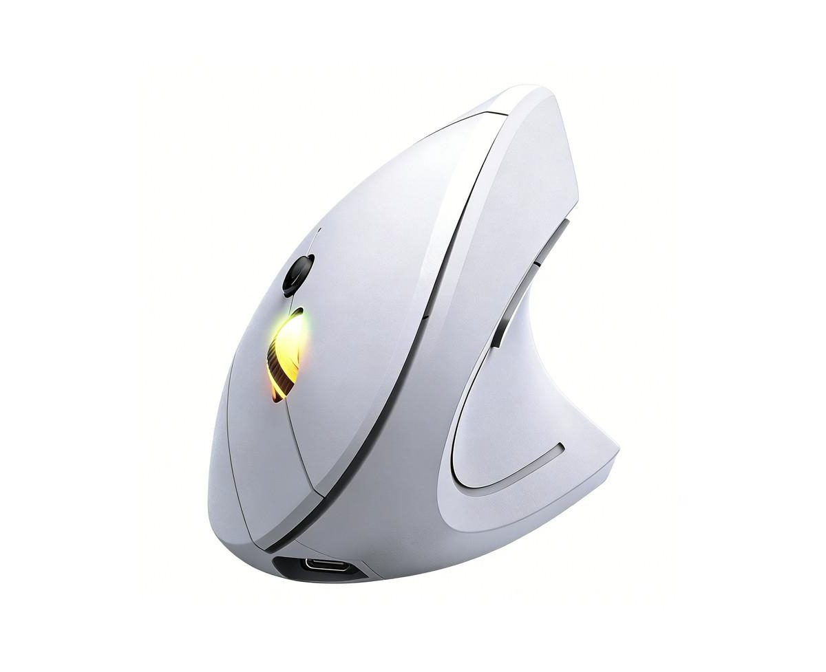 Click here for Risokeys Ergonomic Vertical Wireless Mouse  Dual M... prices