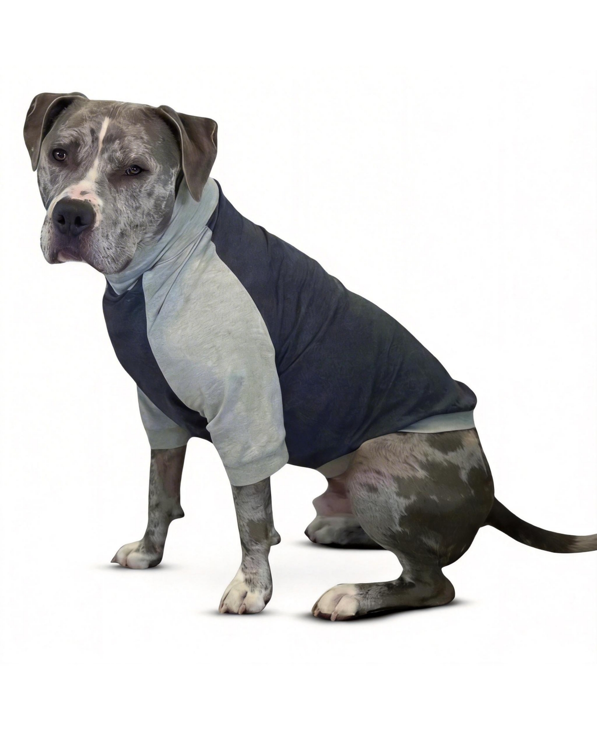 Click here for Aronkl Comfortable Breathable Cotton Spandex Dog S... prices