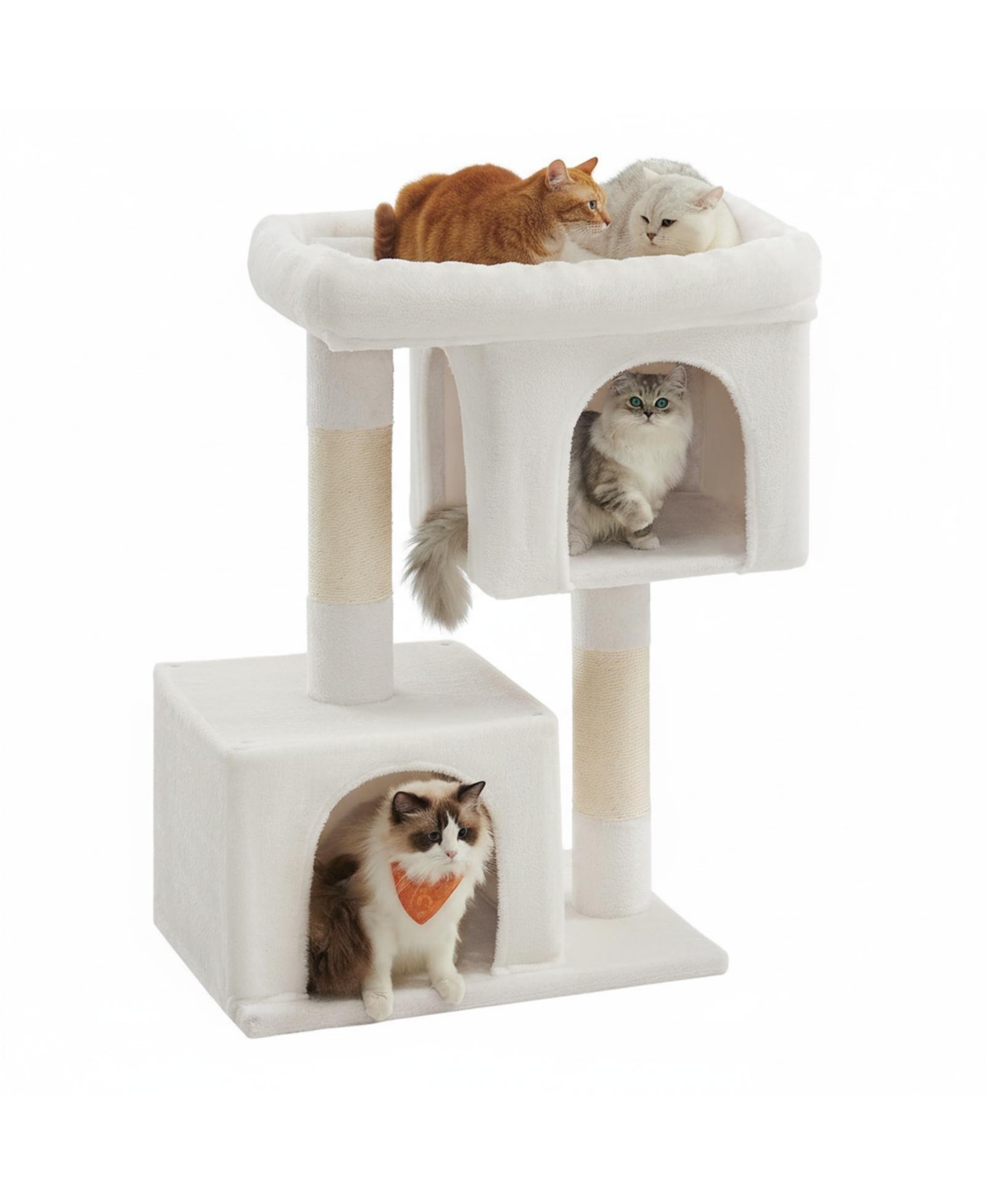 Click here for Aronkl Cat Tree Tower with Large Perch 2 Caves Scr... prices