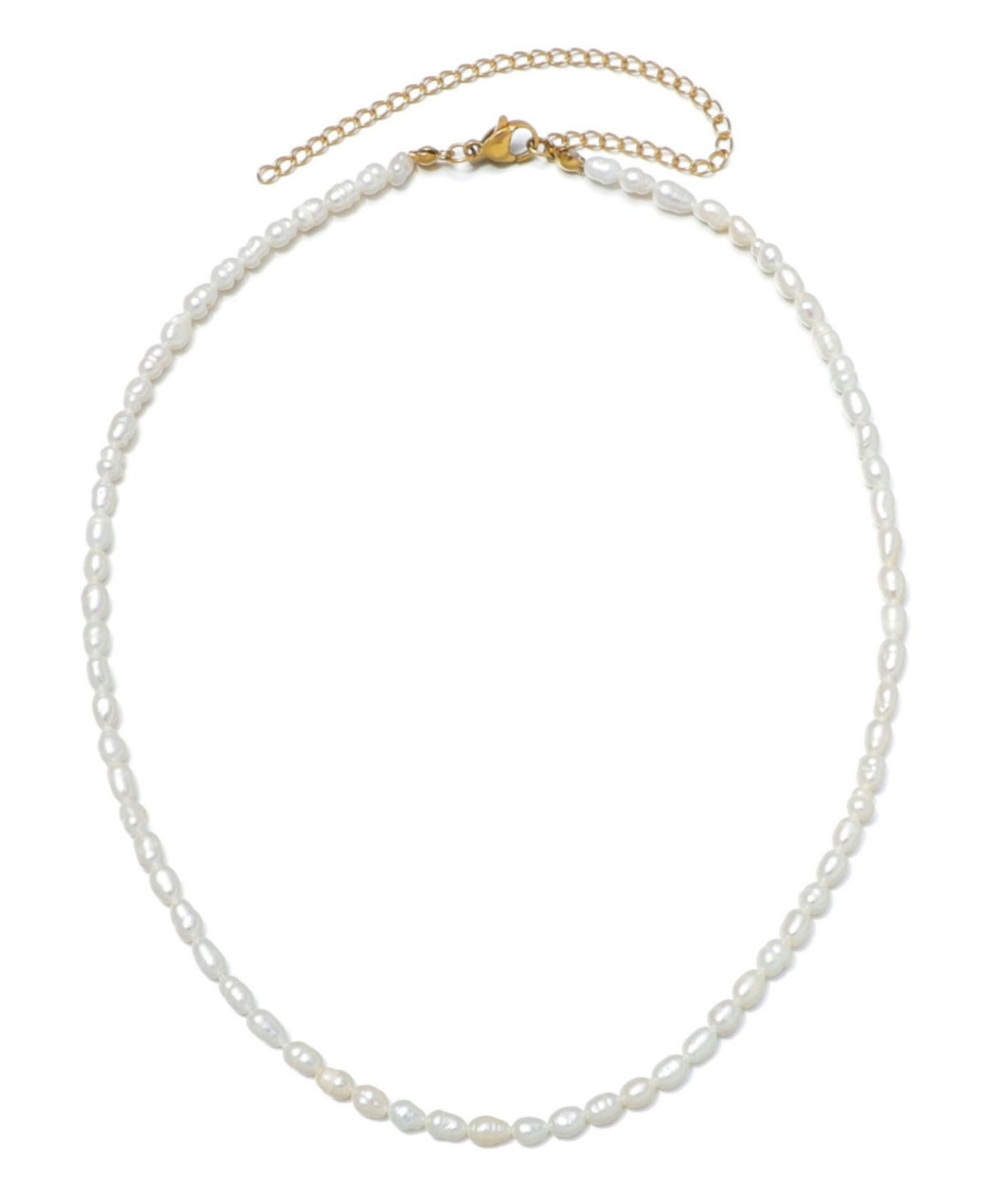 Click here for Adornia Tarnish Resistant Freshwater Pearl Seed St... prices