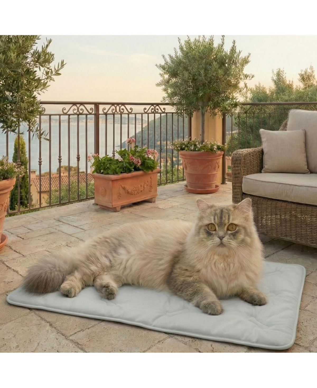 Click here for Aronkl Pet Cooling Mat for Dogs and Cats Soft Brea... prices