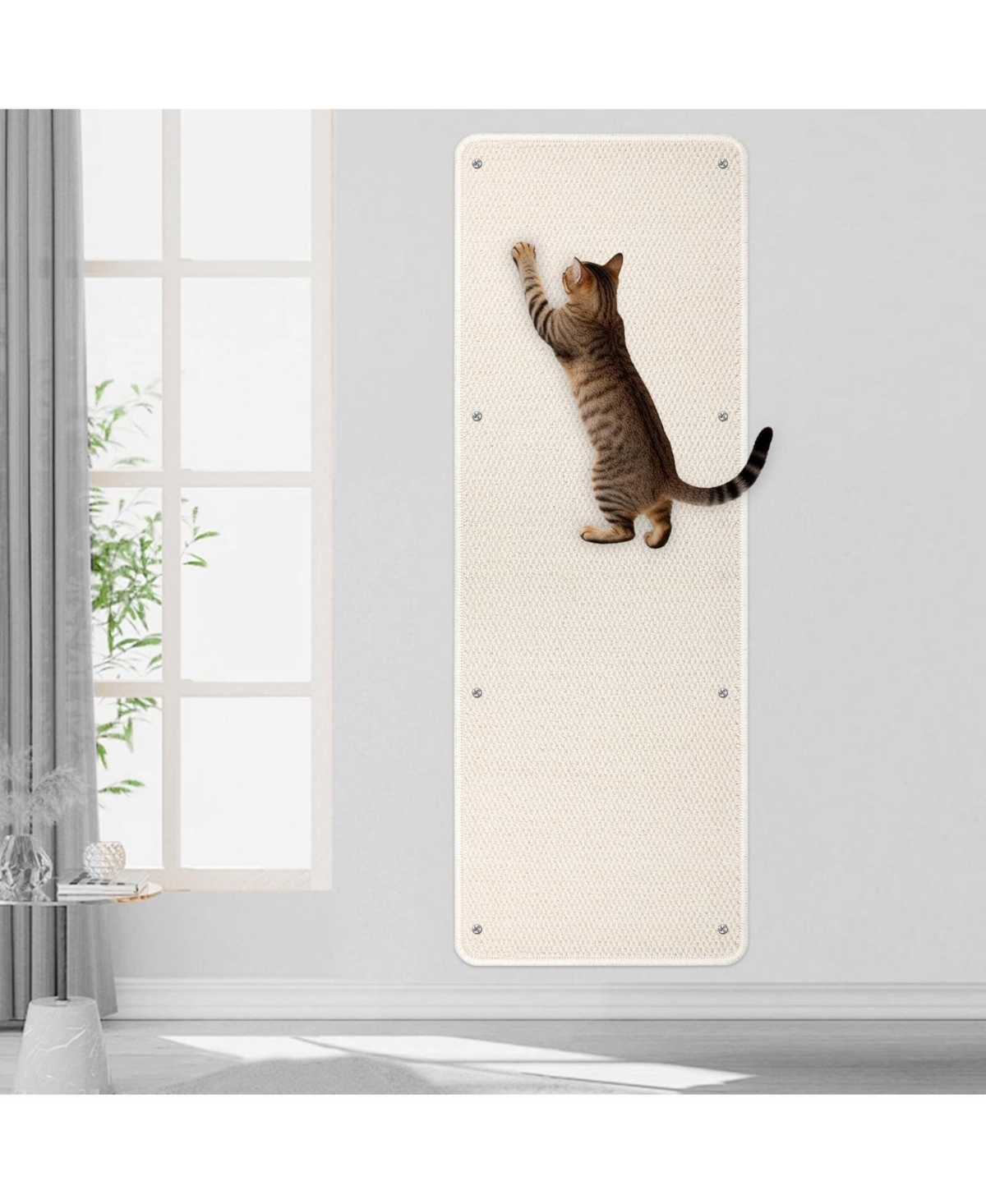 Click here for Aronkl Extra Large Thickened Cat Wall Climbing Car... prices