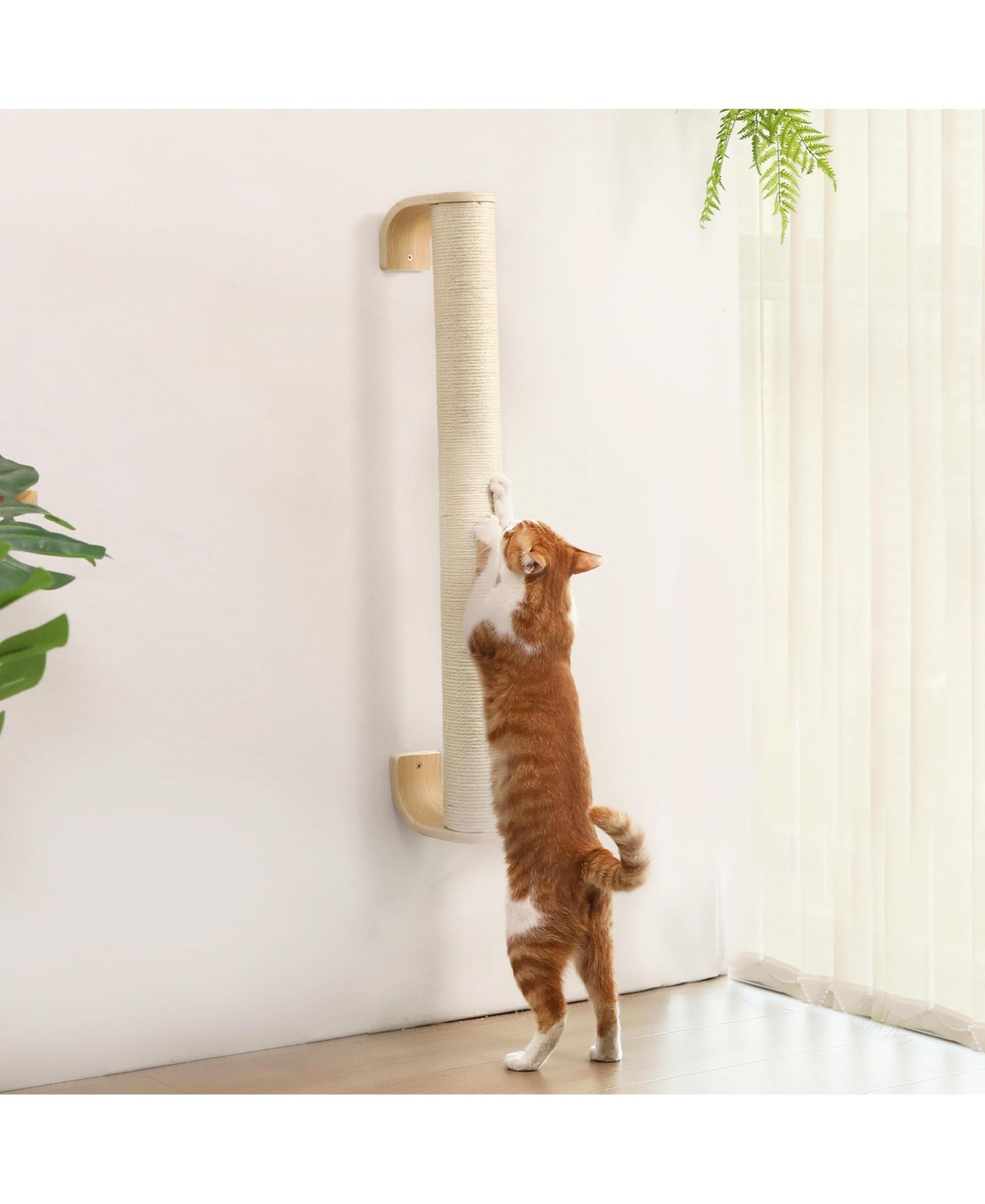 Click here for Aronkl Cat Wall Scratcher 60 Tall Mounted Kitten S... prices