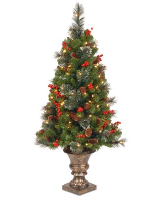 National Tree Company 4' Crestwood Spruce Entrance Tree with 100 Clear ...