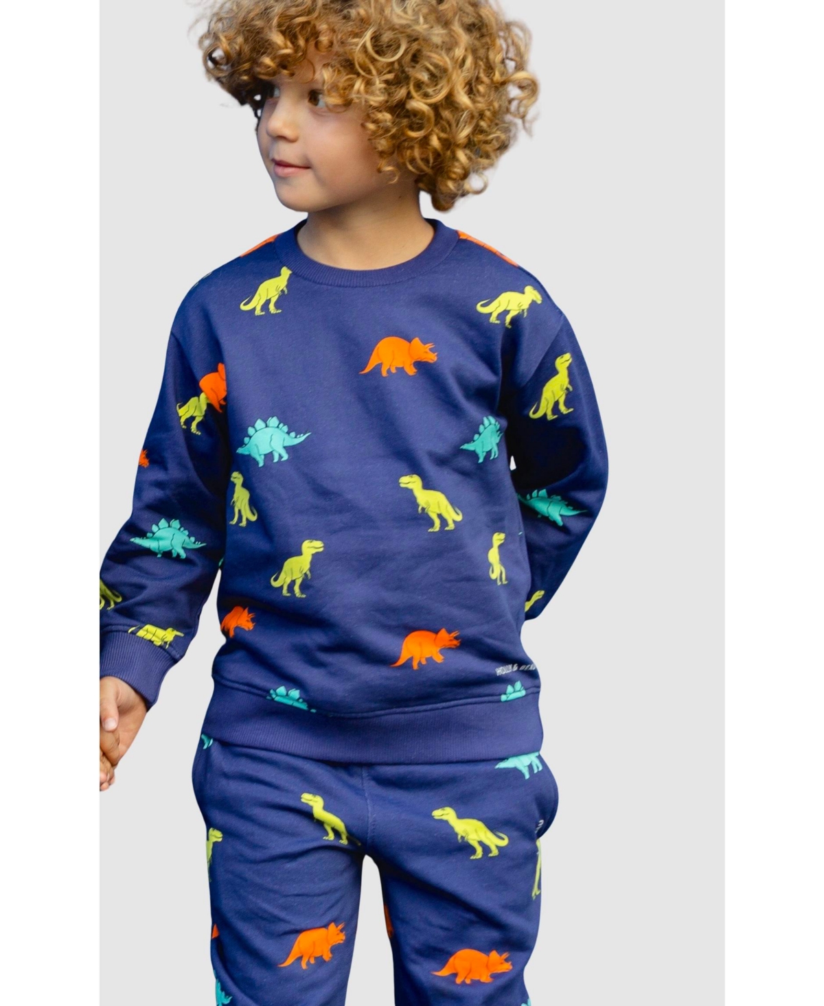 Click here for Holly and Beau Boys Dinosaur Cotton Crew Neck Swea... prices