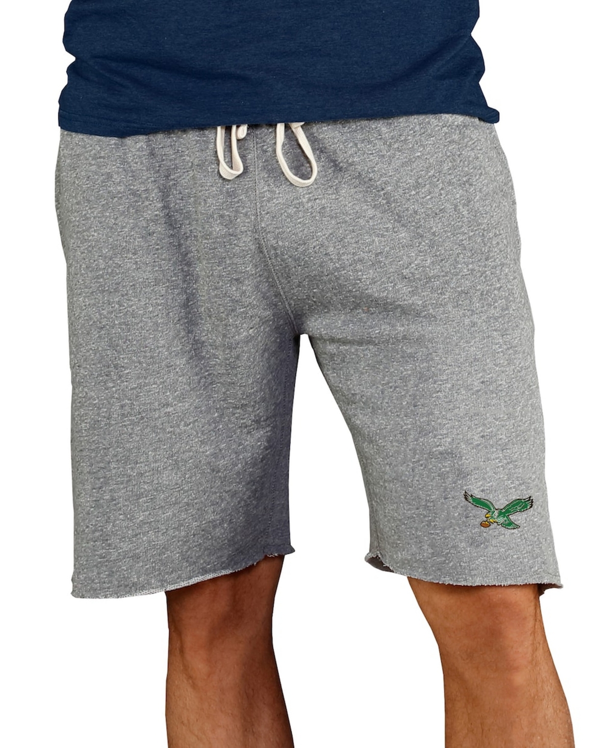 Click here for Concepts Sport Mens Gray Philadelphia Eagles Throw... prices