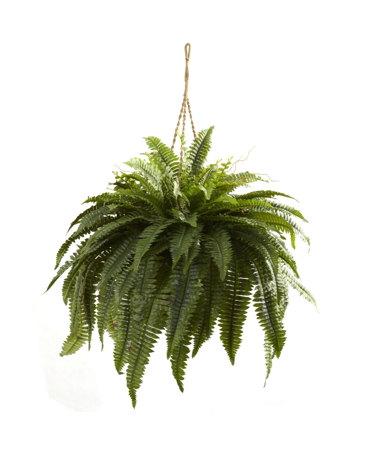 Click here for Nearly Natural Double Giant Boston Fern Artificial... prices