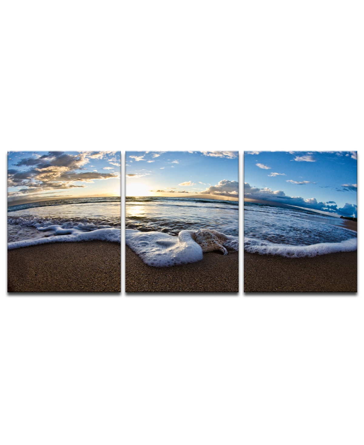 Click here for Ready2HangArt Sea Star 3-Pc. Canvas Art Print Set prices