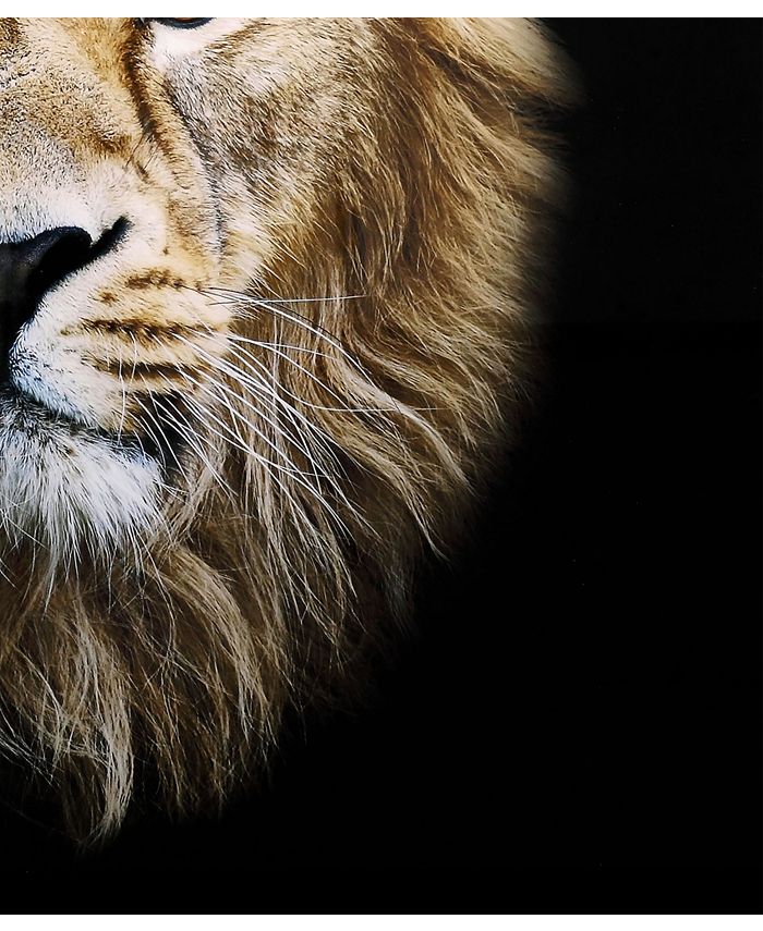 Moe's Home Collection African Lion Wall Decor - Macy's