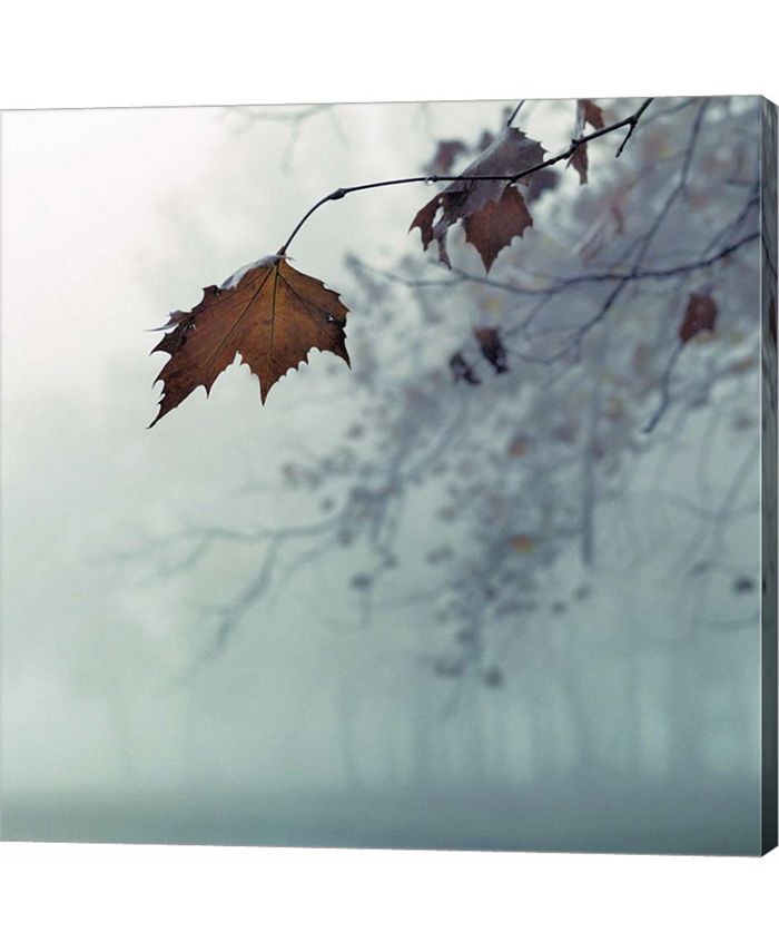 Metaverse November by Nicholas Bell Photography Canvas Art - Macy's