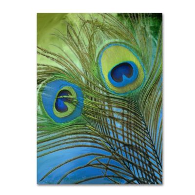 Trademark Global Color Bakery 'Peacock Candy I' Canvas Art - Macy's