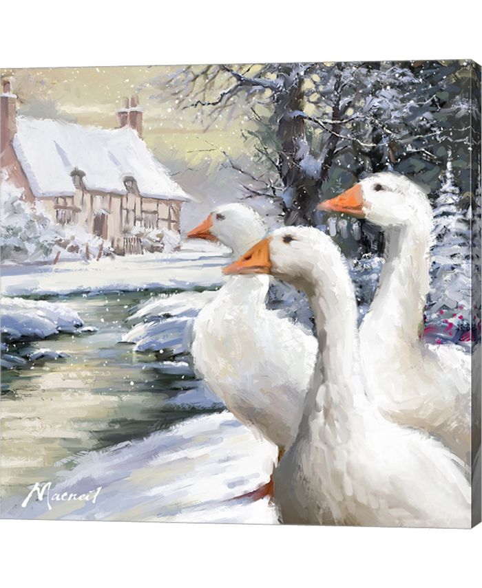 Metaverse Geese By Stream by The Macneil Studio - Macy's