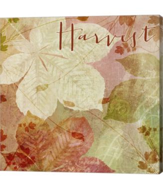 October Pastel by Color Bakery - Macy's