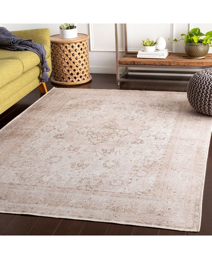 Surya Amelie AML-2303 Beige 2' x 3' Area Rug - Macy's