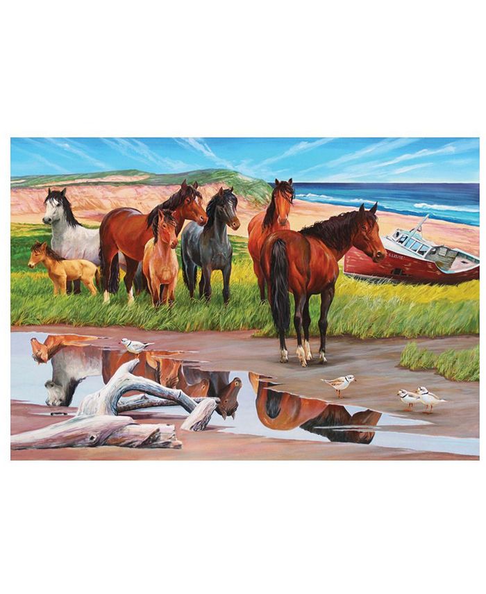 Cobble Hill Sable Island Puzzle - 2000 Piece - Macy's