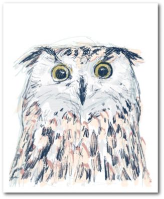 Courtside Market GG Funky Owl Portrait II Gallery-Wrapped Canvas Wall ...