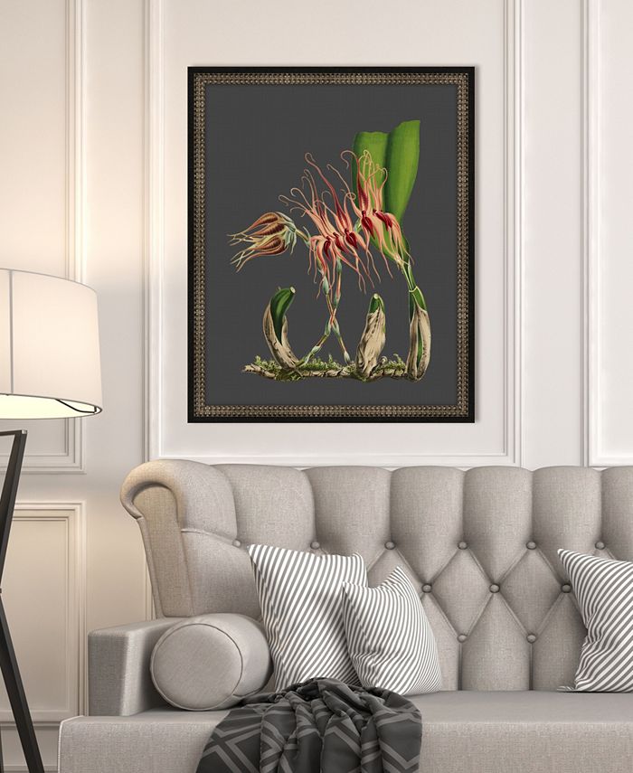 Melissa Van Hise Beautiful Botanical on Black VI Framed Giclee Wall Art ...