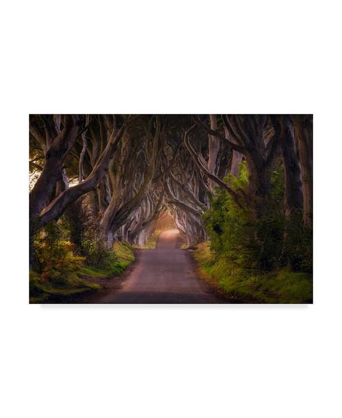 Trademark Global Daniel F 'The Glowing Hedges' Canvas Art - 24" x 2" x ...