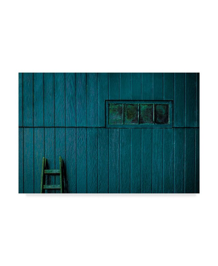 Trademark Global Inge Schuster 'Blue Rustic' Canvas Art - 24" x 2" x 16 ...