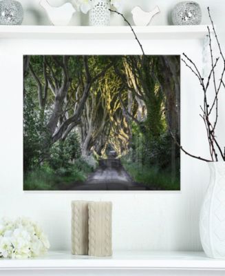 Designart 'The Dark Hedges Ireland Landscape' Photography Metal Wall ...