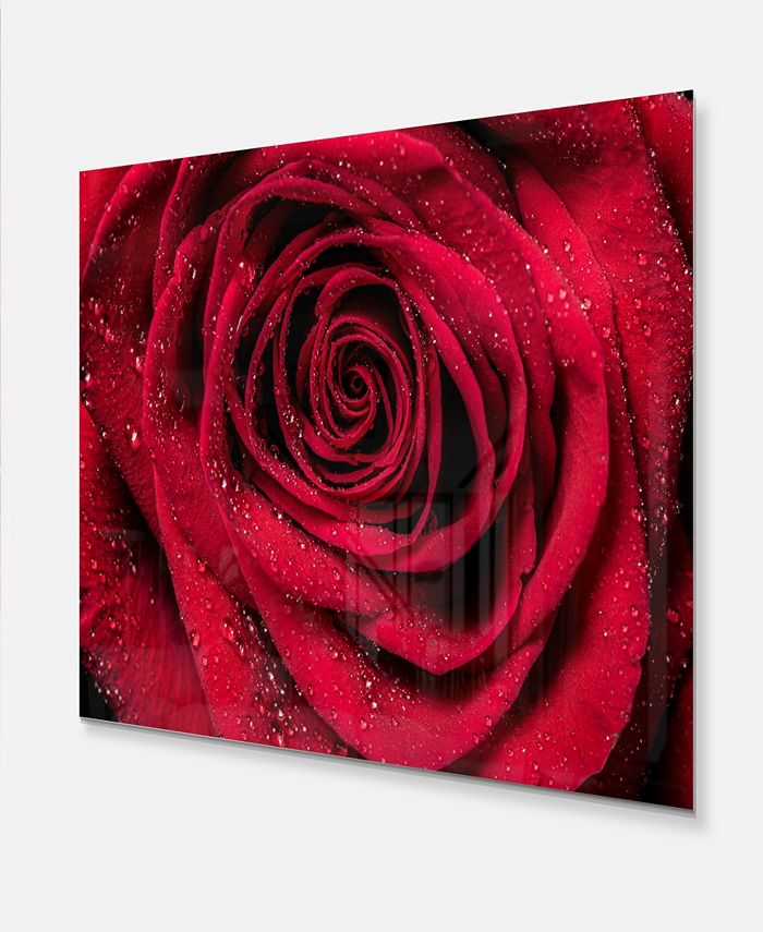 Design Art Designart 'Red Rose Petals With Rain Droplets' Floral Metal ...