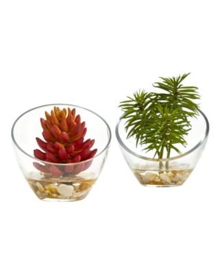 Nearly Natural Succulent Artificial Plant in Slanted Glass Vase (Set of ...