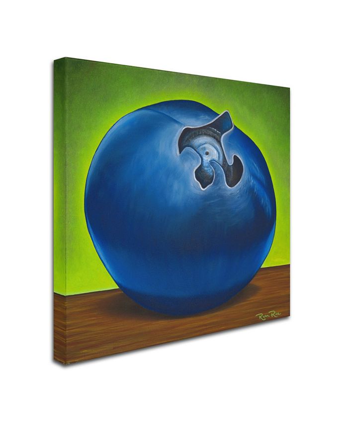 Trademark Global Ryan Rice Fine Art 'Blueberry Pi' Canvas Art - 14" x ...