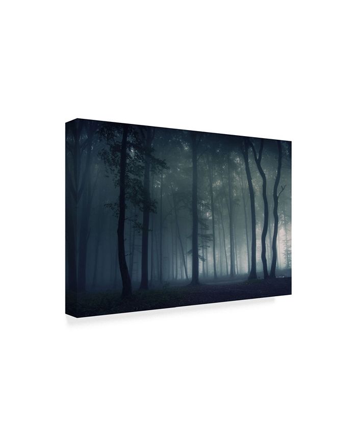 Trademark Global Photocosma 'Mysterious Dark Forest' Canvas Art - 24" x 2" x 16" - Macy's