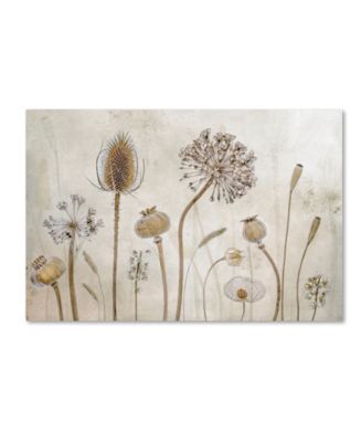 Mandy Disher 'Growing Old' Canvas Art - 47" x 30" x 2" - Macy's