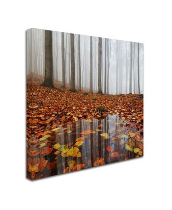Trademark Global Martin Rak 'Puddle' Canvas Art - 24" x 24" x 2" - Macy's