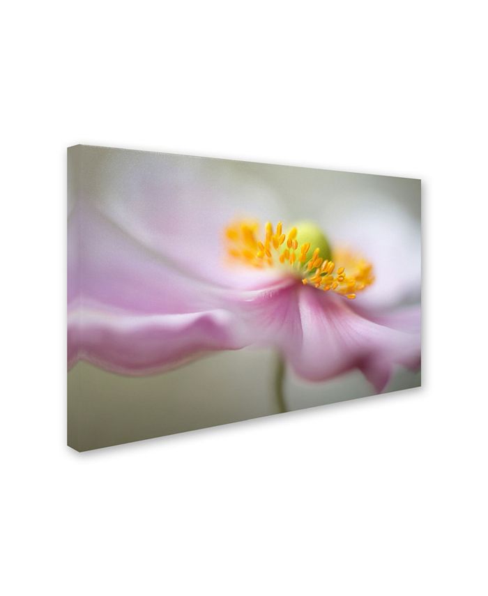 Trademark Global Mandy Disher 'Dreaminess' Canvas Art - 24" x 16" x 2 ...
