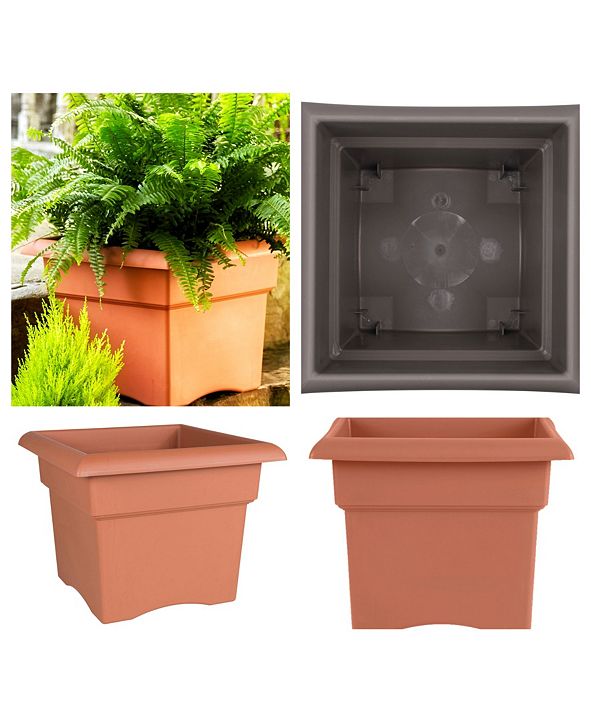 Bloem Terra 14" Window Box Saucer Tray & Reviews - All Botanicals ...