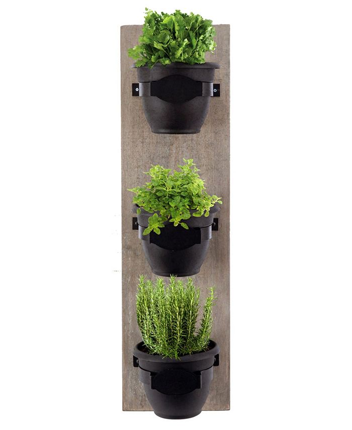 Bloem Self-Watering Herb Trio Hanging Vertical Wall Planter Kit - Macy's