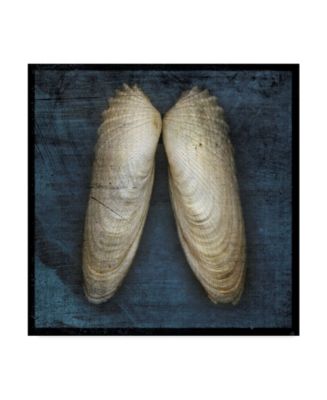 John W. Golden 'Angel Wings' Canvas Art - 24" x 24" - Macy's