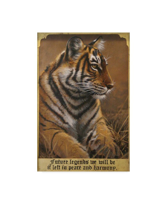 Trademark Global Michael Jackson 'Tiger In Gold Frame' Canvas Art - 30 ...