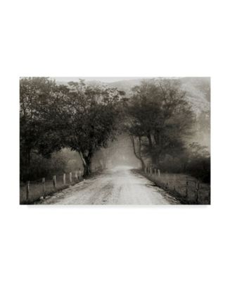 Nicholas Bell Photography 'Sparks Lane Path' Canvas Art - 32" x 22 ...