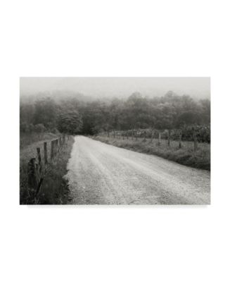 Trademark Global Nicholas Bell Photography 'Timeless Drive' Canvas Art ...