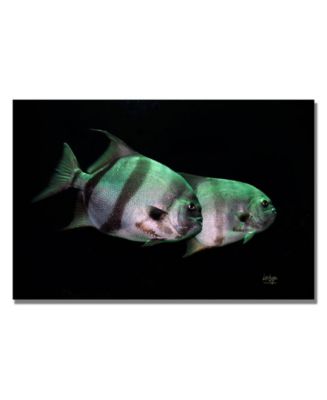 Lois Bryan 'Fish in the Dark' Canvas Art - 47" x 35" - Macy's