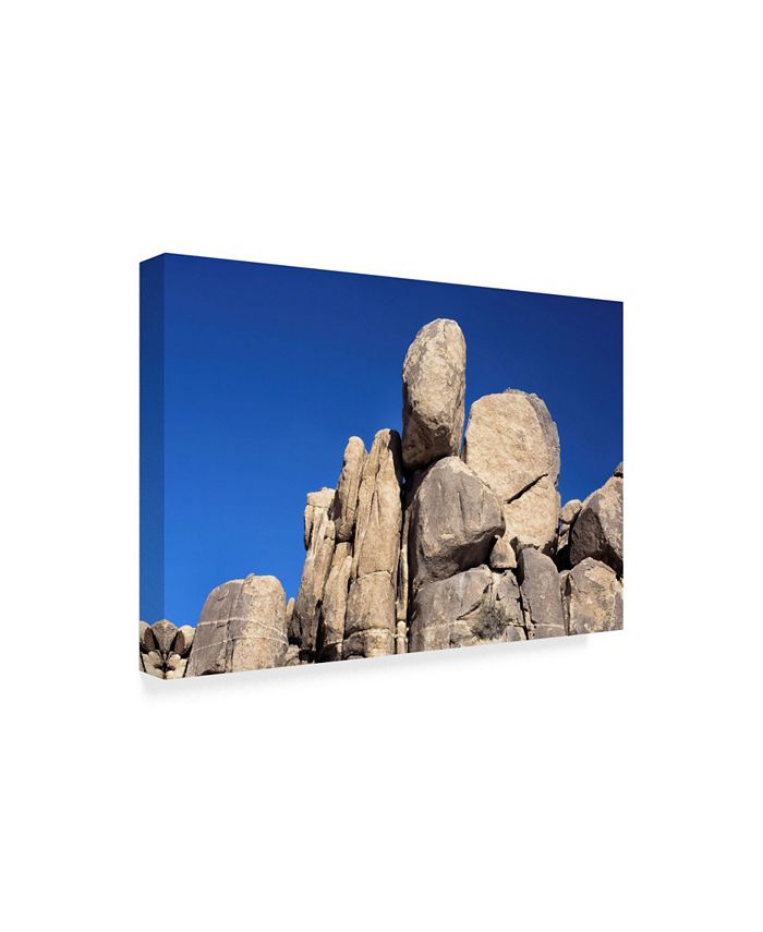 Trademark Global Janice Sullivan 'Joshua Rocks' Canvas Art - 19" x 12 ...
