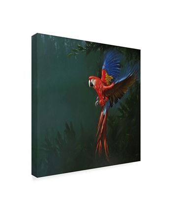 Trademark Global Michael Jackson 'Macaw Over Forest' Canvas Art - 14" x ...
