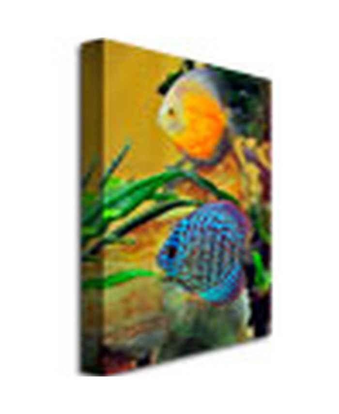 Trademark Global Kurt Shaffer 'Two Tropical Fish' Canvas Art - 24" x 18 ...