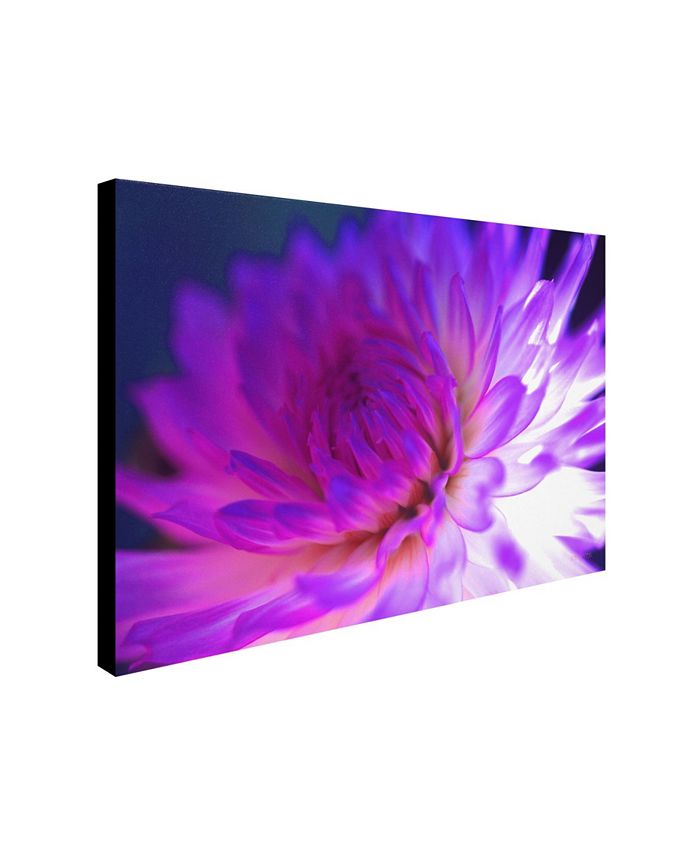 Trademark Global Kathy Yates 'Mod Dahlia' Canvas Art - 47" x 30" - Macy's