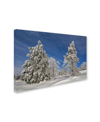 Trademark Global Lois Bryan 'Winter Blues' Canvas Art - 12" x 19" - Macy's