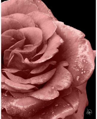 Creative Gallery Soft Marsala Rose Portrait Metal Wall Art Print - 20 ...