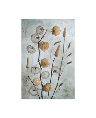 Mandy Disher Lanterns Canvas Art - 15" x 20" - Macy's
