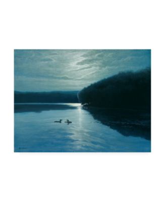 Trademark Global Michael Budden Moonlight Loons Canvas Art - 37" x 49 ...