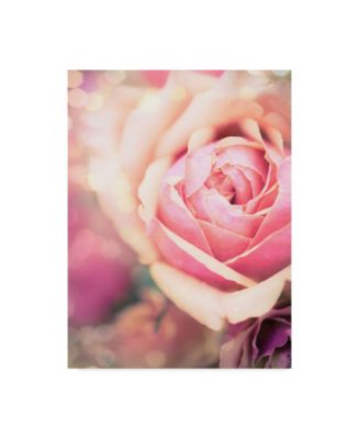 Sonja Quintero Rosie Pink I Canvas Art - 20" x 25" - Macy's